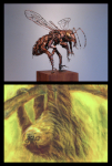 Kenneth Paul Lesko Gallery